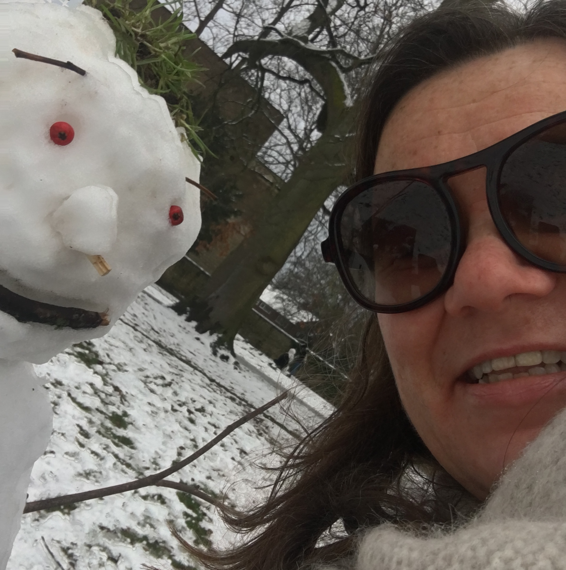 Snow is falling | lita doolan media